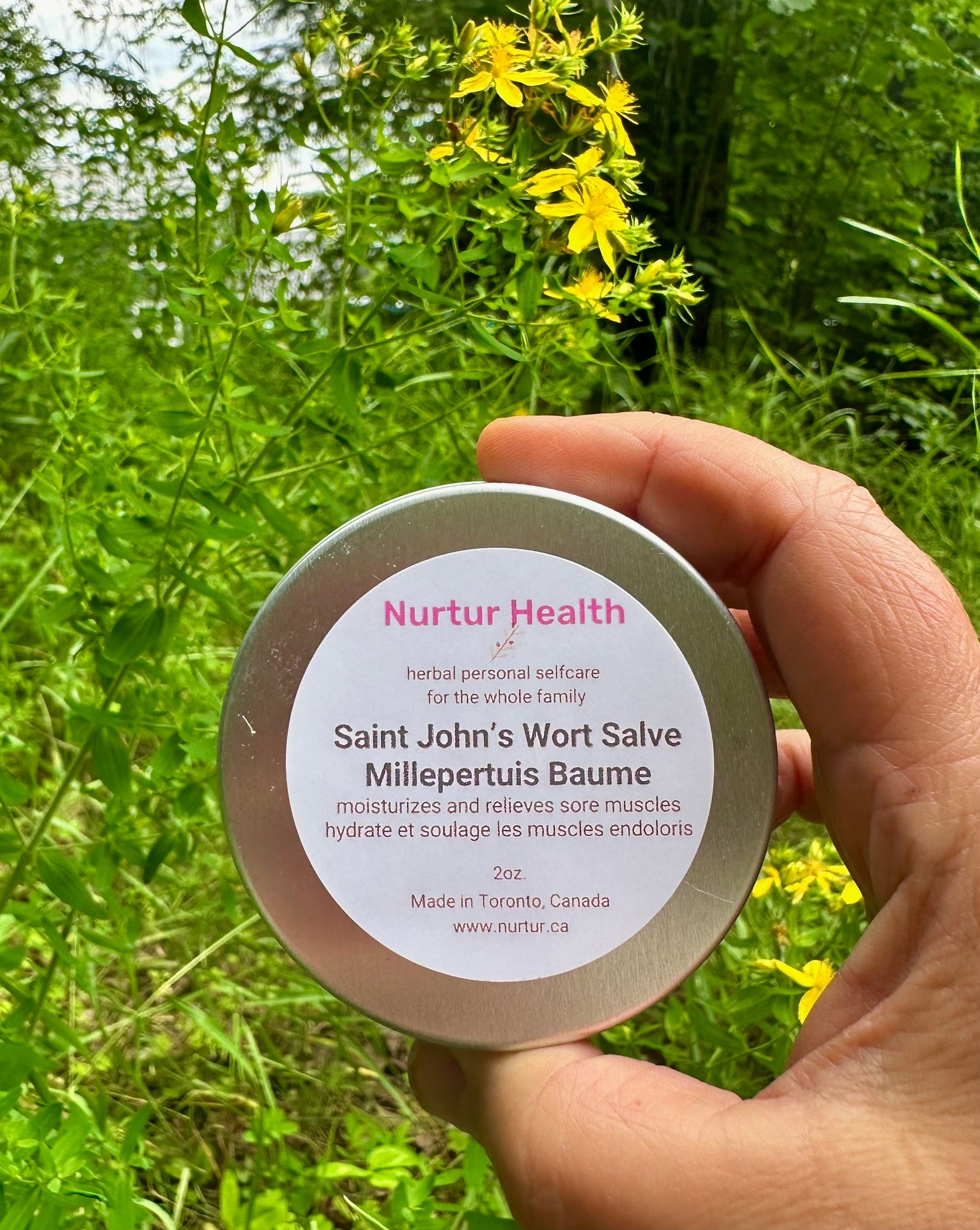 St. John's Wort Salve – Nurtur Health
