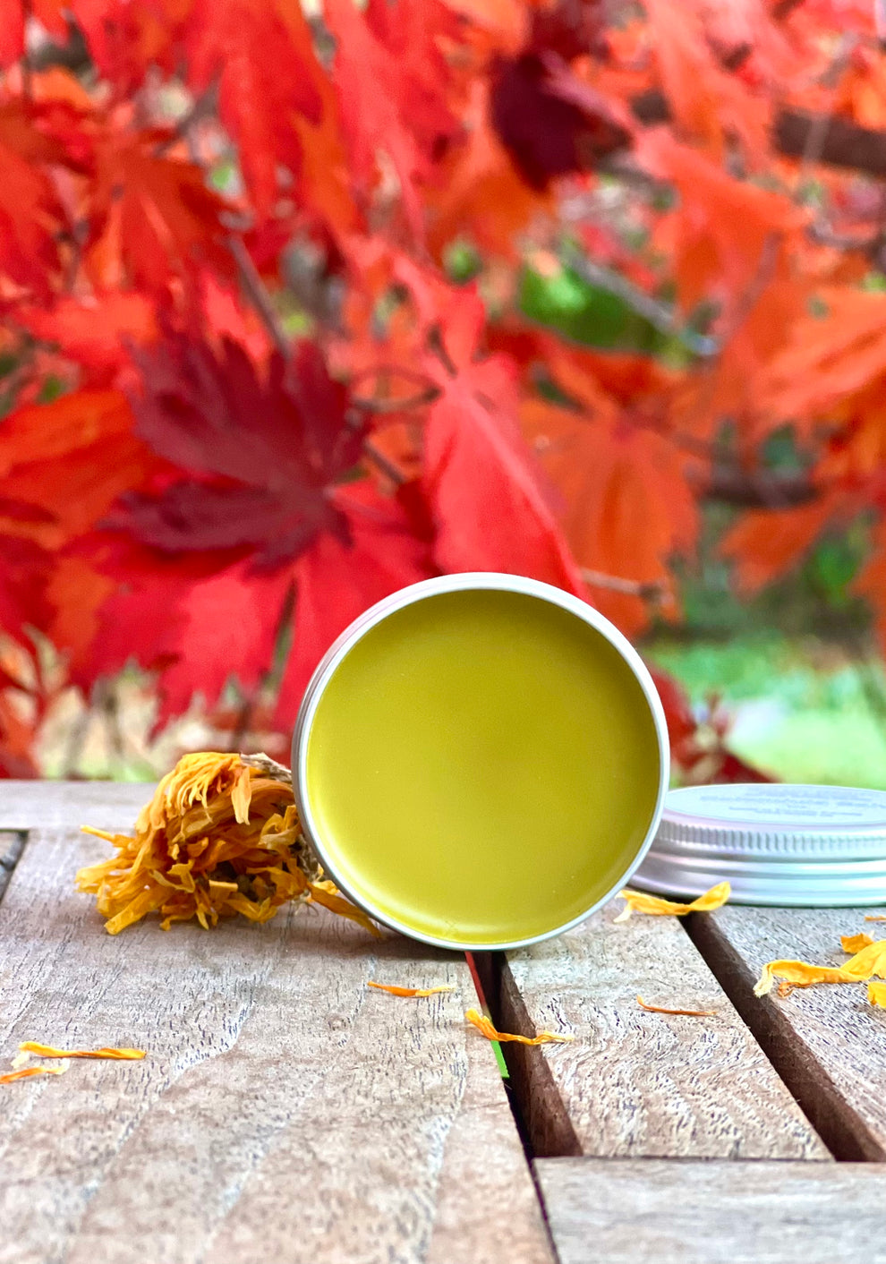 Calendula Salve – Nurtur Health